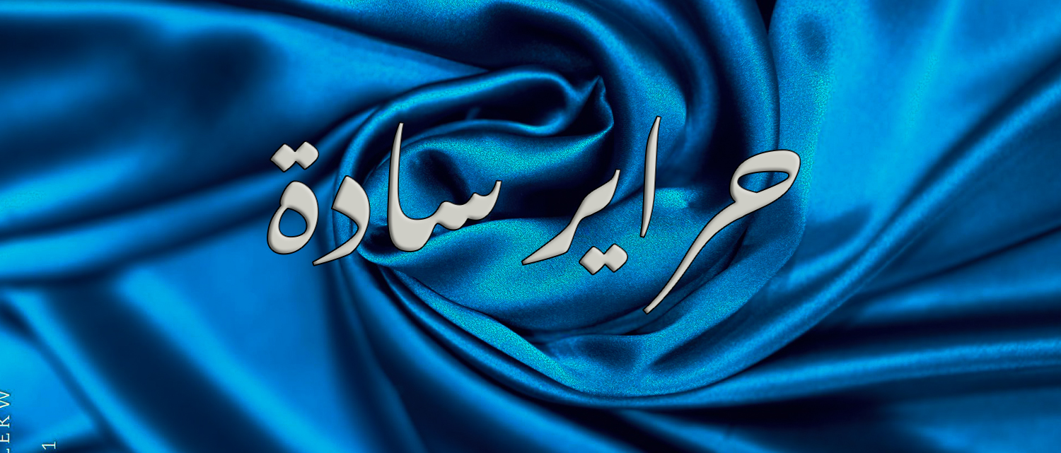 Textile Retailer Sara Textile